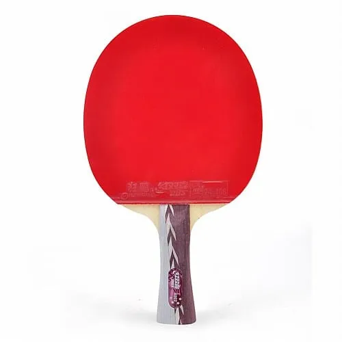 Review of DHS Table Tennis Racket #A4002 | Table Tennis Spot