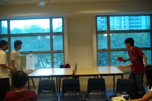 What is Mean By TT Board? - Table Tennis Spot